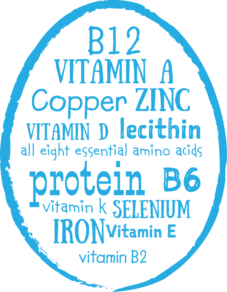 BIG and HEALTHY eggs from Ballygarvey